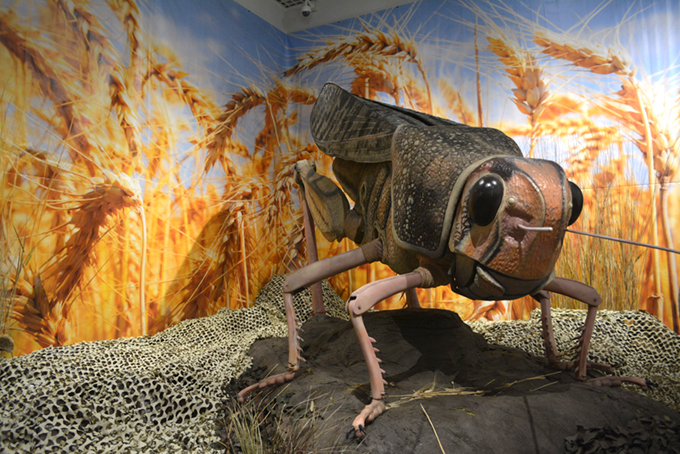 The World of Giant Insects - Museum of Arts and SciencesMuseum of Arts ...