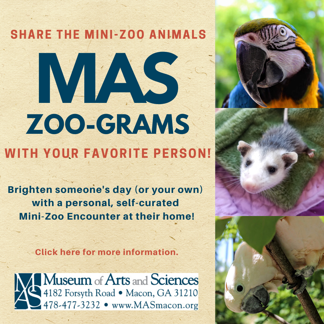 Museum of Arts and Sciences