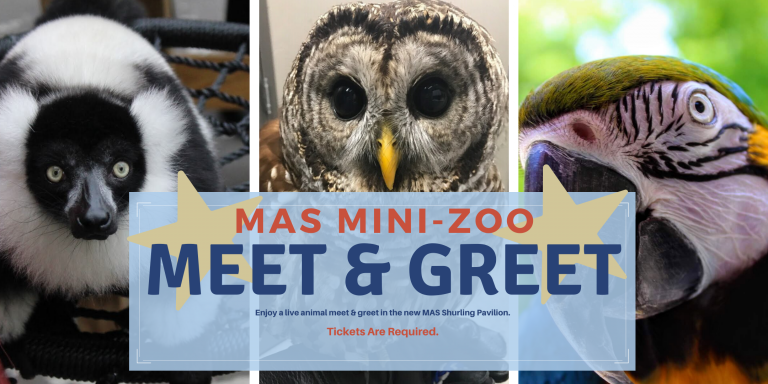 Mini-Zoo Meet & GreetMuseum of Arts and Sciences