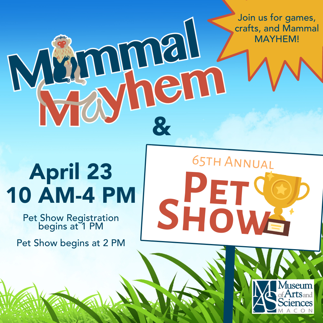 Mammal Mayhem and Pet Show - Museum of Arts and SciencesMuseum of Arts and Sciences