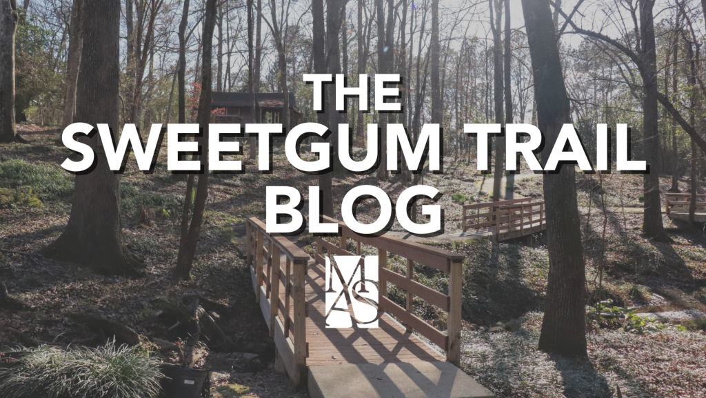 The Sweet Gum Trail Blog: A Stroll Through the Trails - Museum of Arts ...