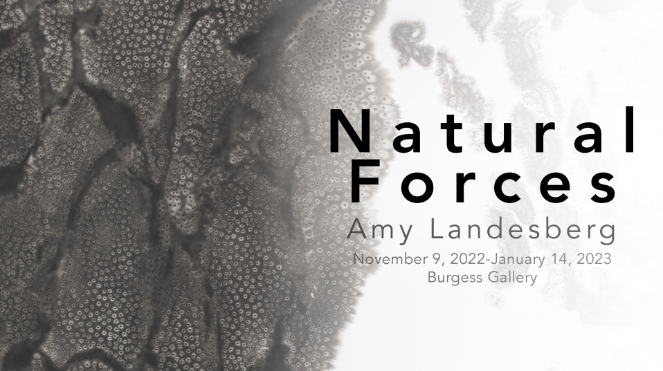 Natural Forces - Museum of Arts and SciencesMuseum of Arts and Sciences
