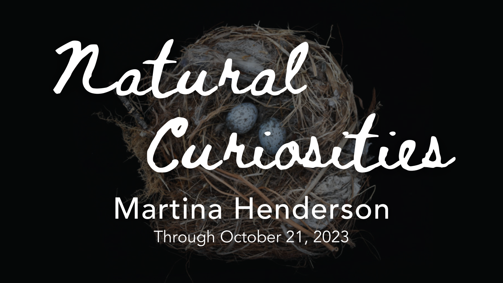 Natural Curiosities - Museum of Arts and SciencesMuseum of Arts and ...