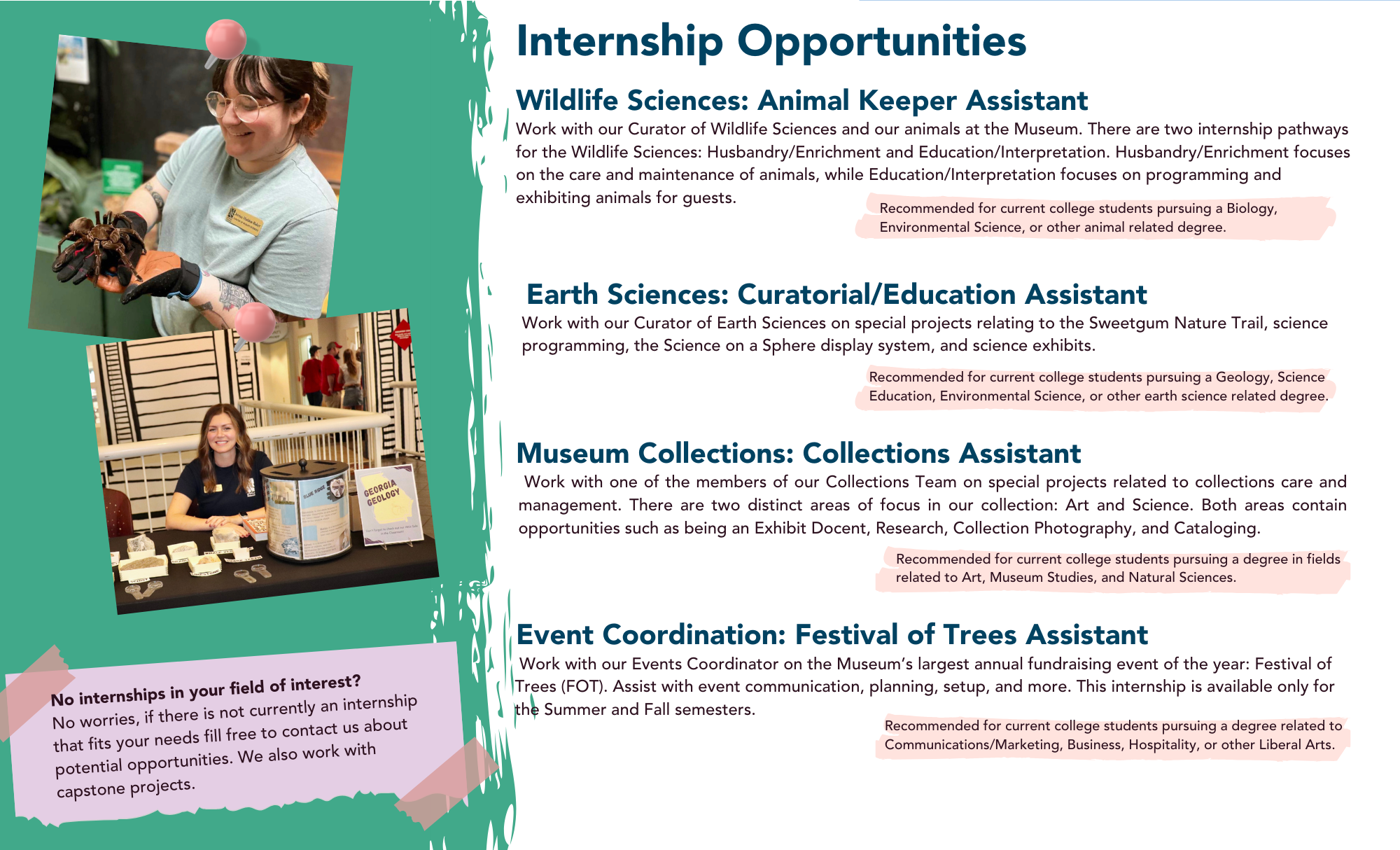 Volunteer/Internship | Museum of Arts and Sciences